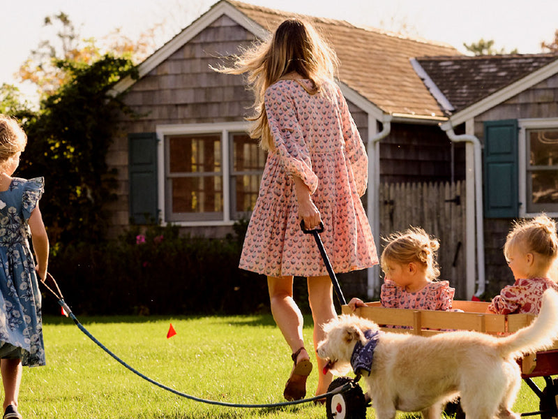 Collections – Pink Chicken