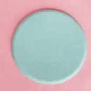 Sunny Coaster Frisbee - Mint – Pink Chicken